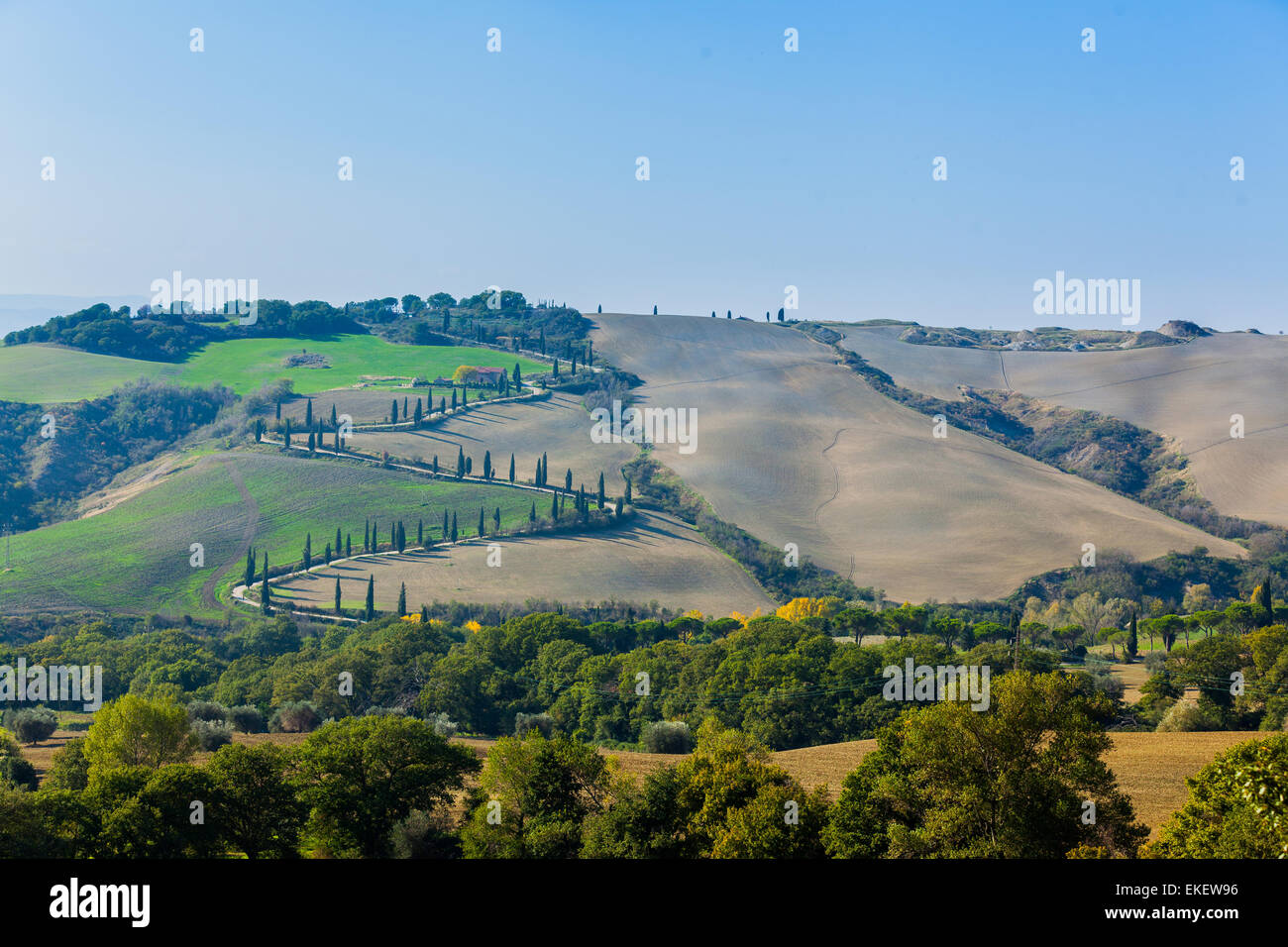 Meadow field scenery countryside vegetation environmental inspirational ...