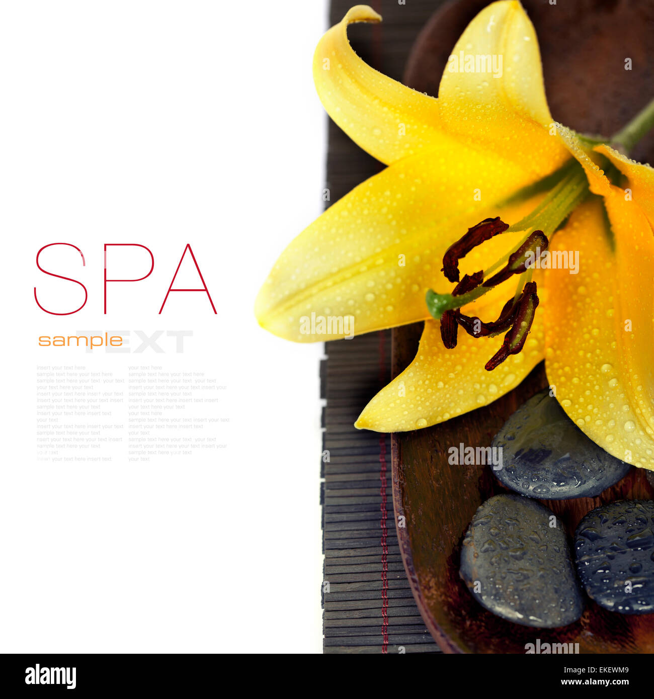 Perfume sample text hi-res stock photography and images - Alamy