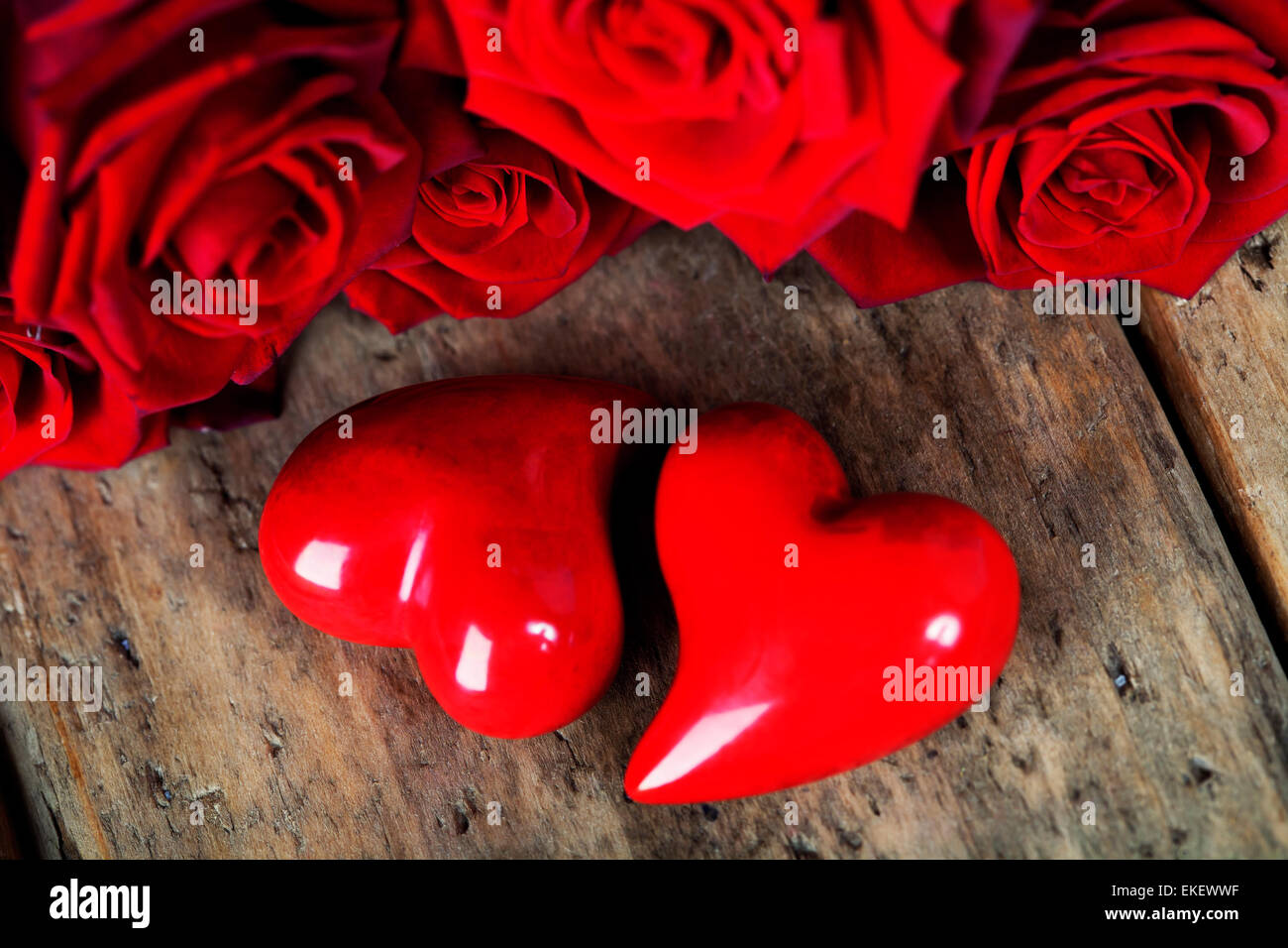 Two scarlet red roses hi-res stock photography and images - Alamy