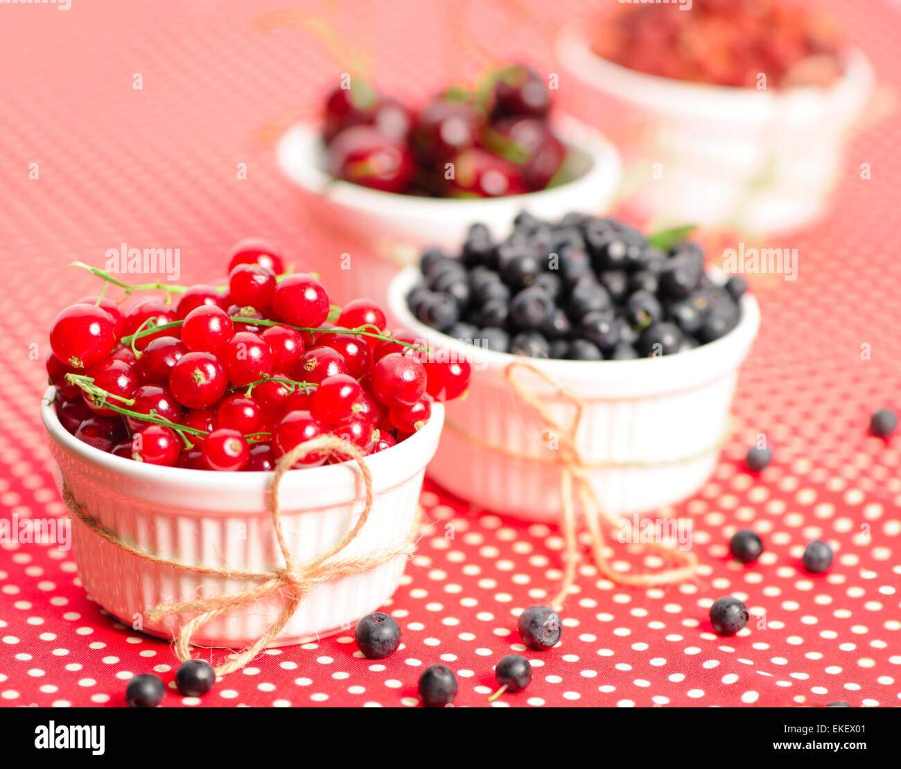 Wild berries in bowls Stock Photo - Alamy