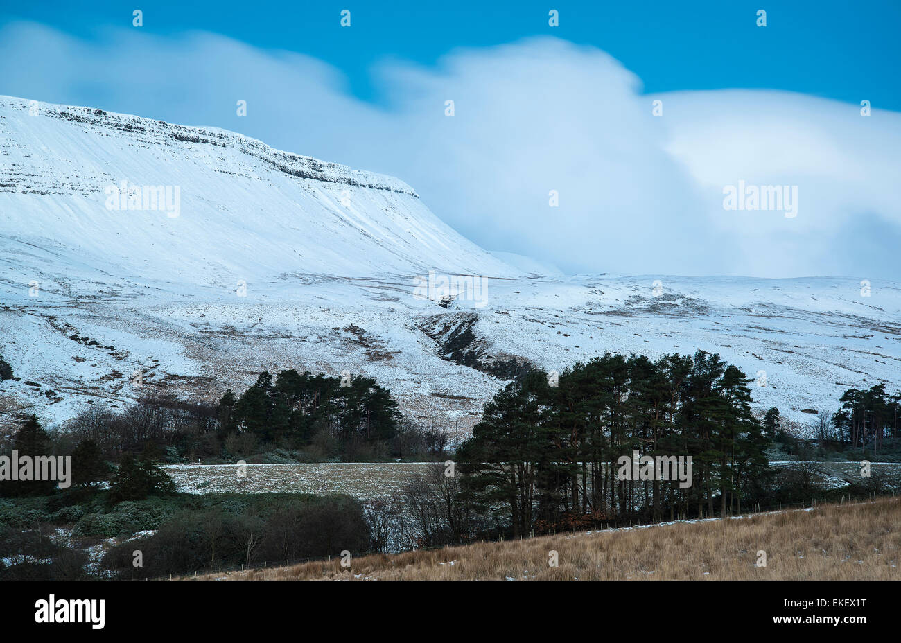 Beautiful pre-dawn Winter landscape of mountains behind forest Stock ...
