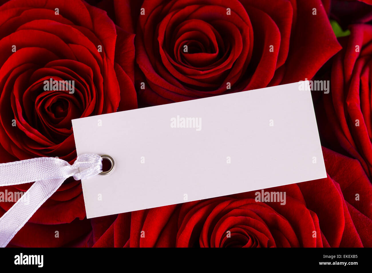 Natural red roses background, close-up Stock Photo - Alamy