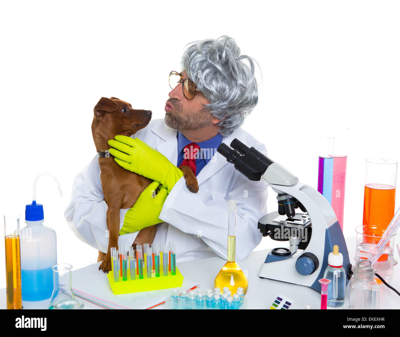 Dog experiment scientist hi-res stock photography and images - Alamy