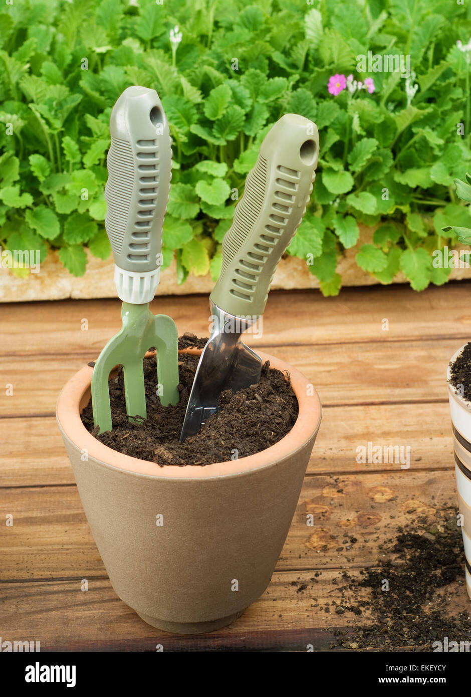 Clay Pot with Gardening Tools Stock Photo - Alamy