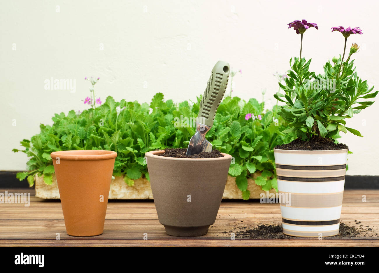 Three Clay Flower Pots in a Row Stock Photo - Alamy