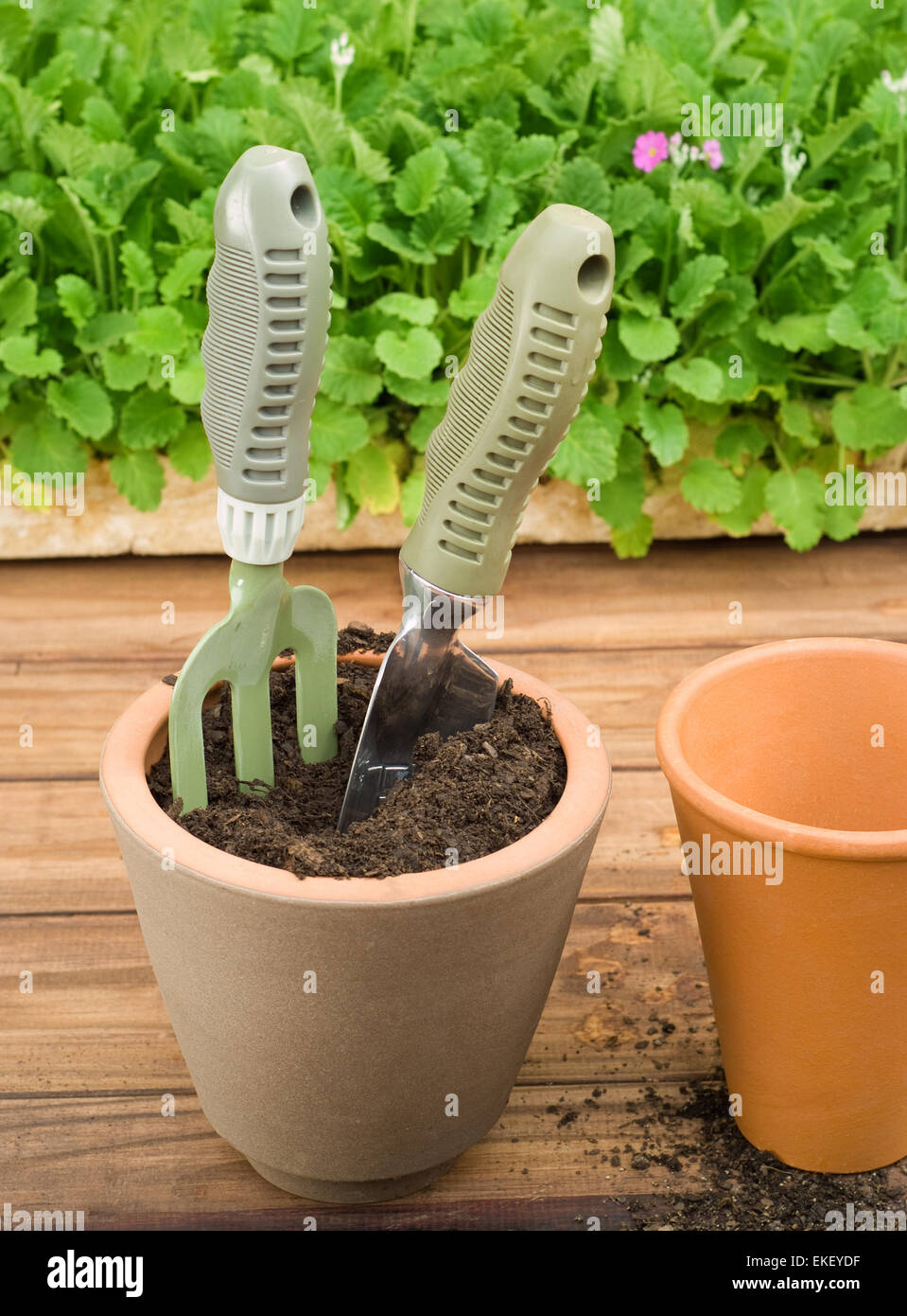 Natural clay pots hi-res stock photography and images - Alamy