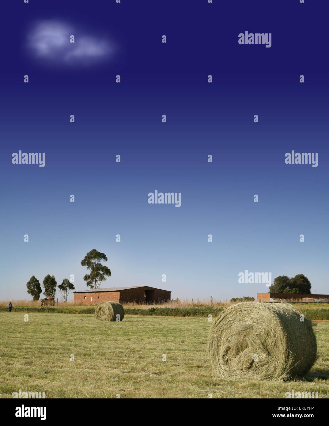 Farm, hay bails and cloud on the prairie Stock Photo - Alamy