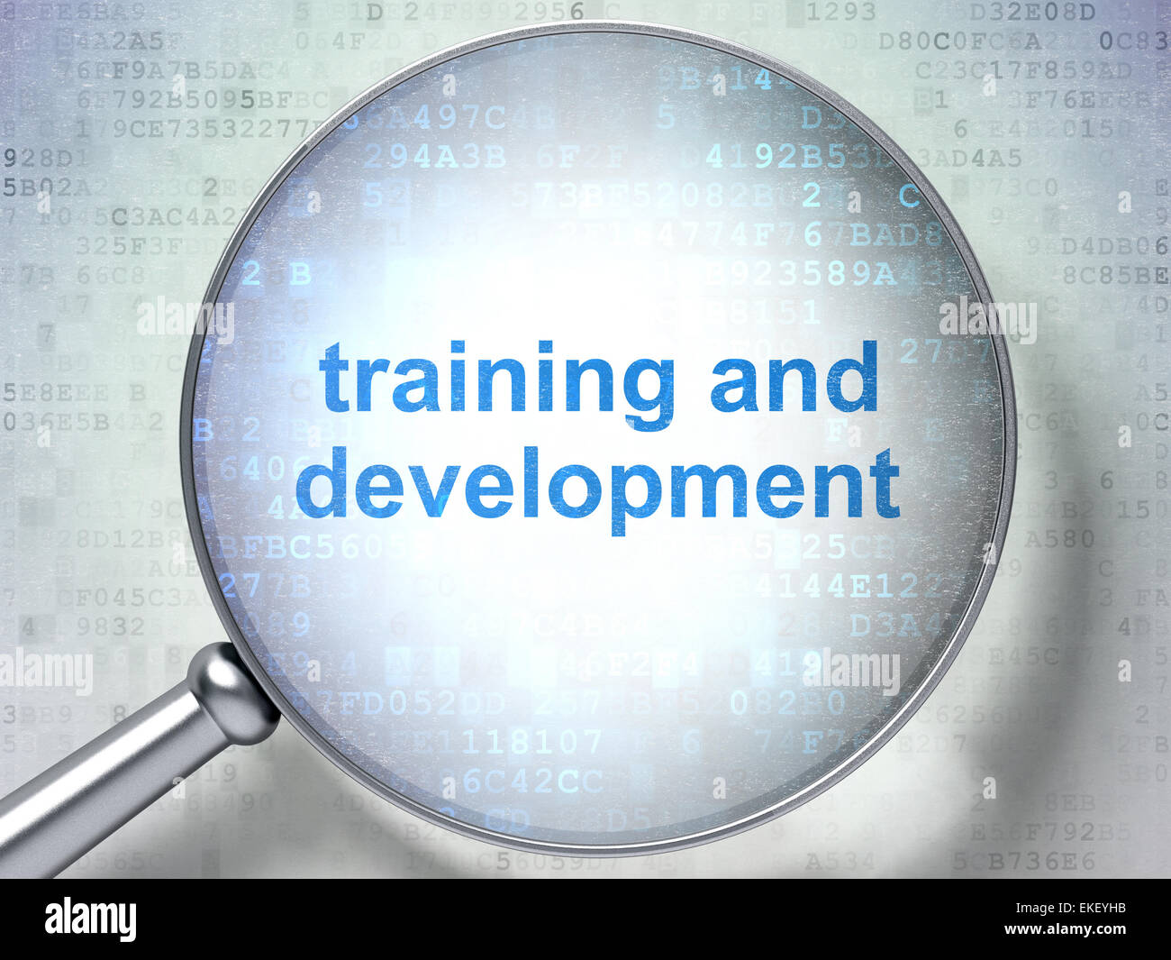 Magnifying glass words training and development Stock Photo - Alamy