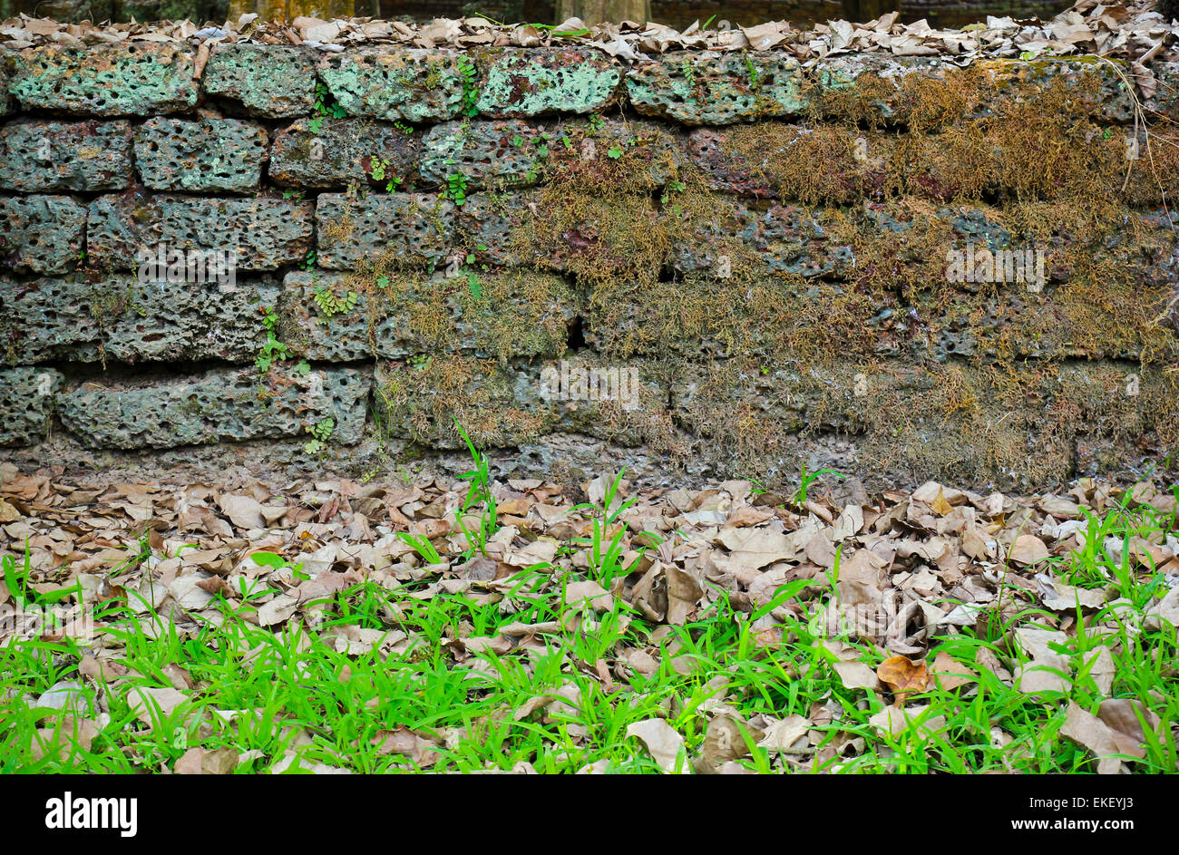 Texture of rough brick wall with grass Stock Photo - Alamy