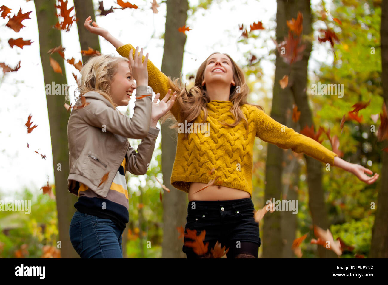 Throw the leafs Stock Photo - Alamy