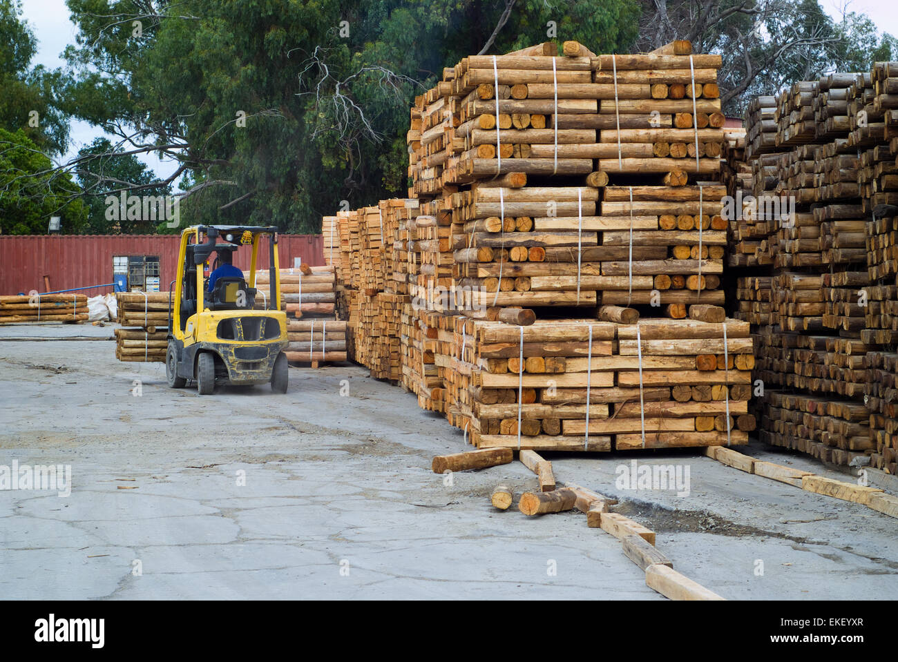 Wood storage warehouse in timber processing plant hi-res stock ...
