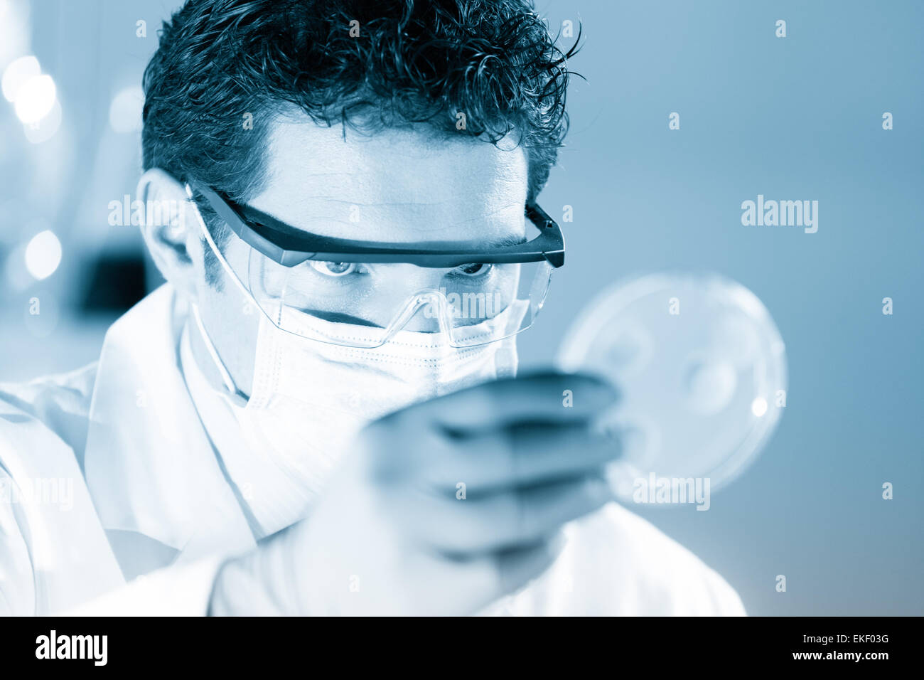 Scientist observing petri dish Stock Photo - Alamy