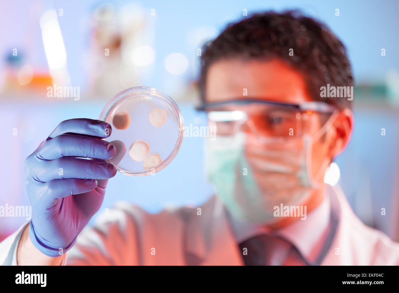 Scientist observing petri dish Stock Photo - Alamy