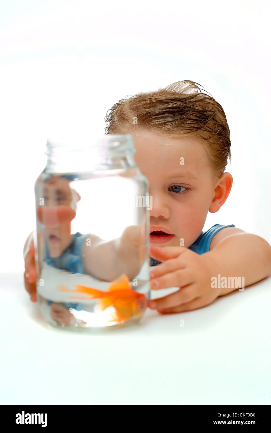 Boy looking at goldfish hi-res stock photography and images - Alamy