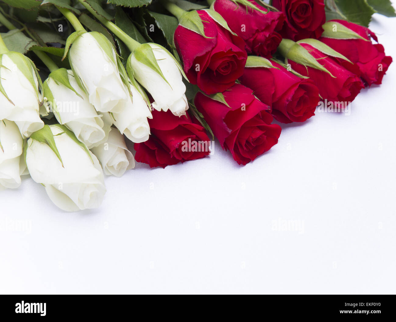Natural red roses background, close-up Stock Photo - Alamy