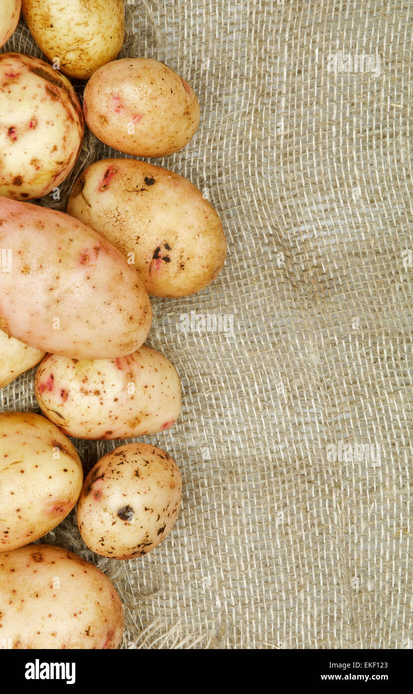Frame of Raw Potato Stock Photo - Alamy