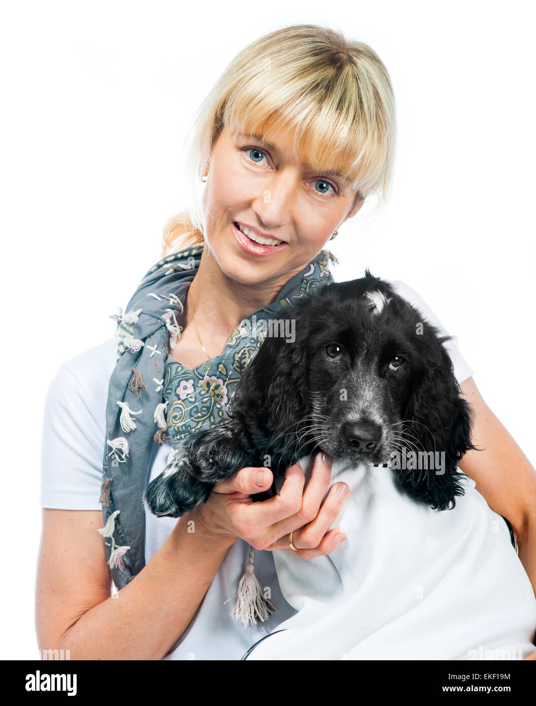 cocker spaniel and young woman Stock Photo - Alamy