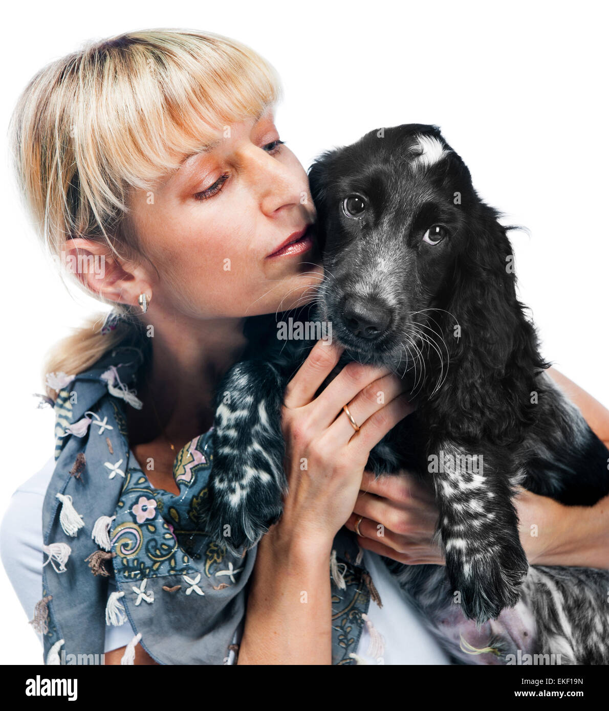cocker spaniel and young woman Stock Photo - Alamy