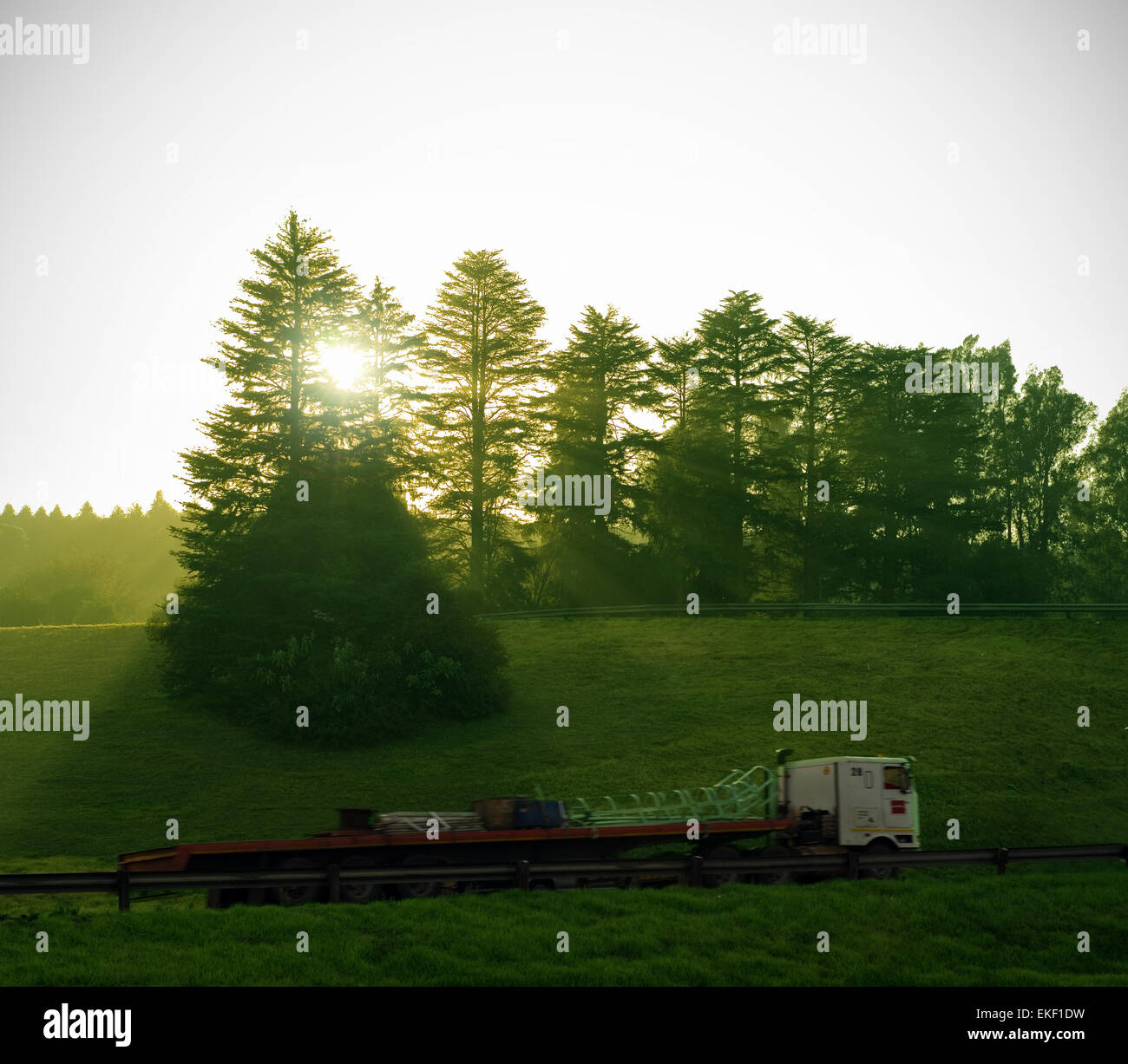 Truck delivery with sun and trees Stock Photo - Alamy