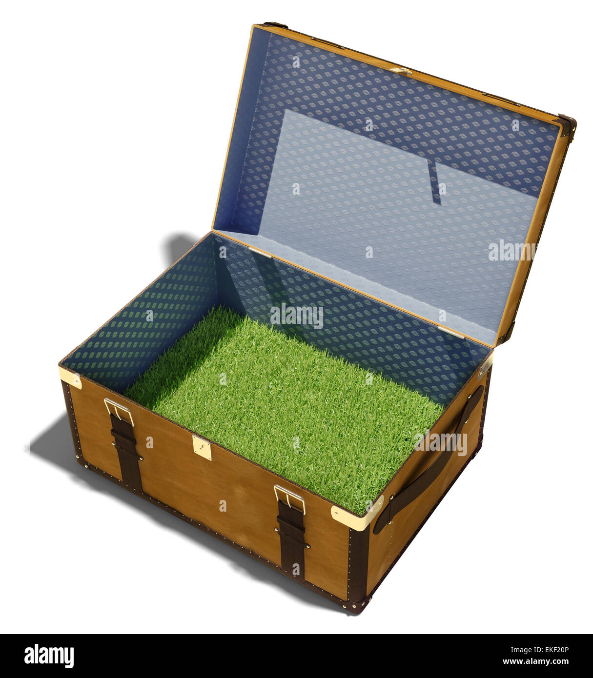 Clean meadow of grass Cut Out Stock Images & Pictures - Alamy