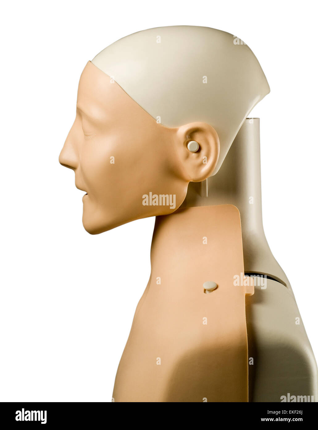Medical dummy hi-res stock photography and images - Alamy