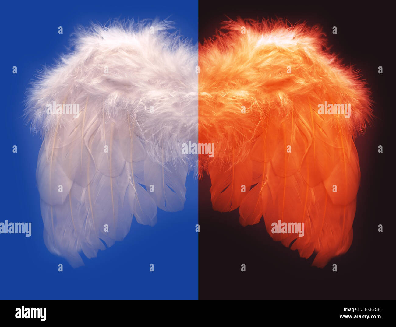 Angels feathered wings hi-res stock photography and images - Alamy