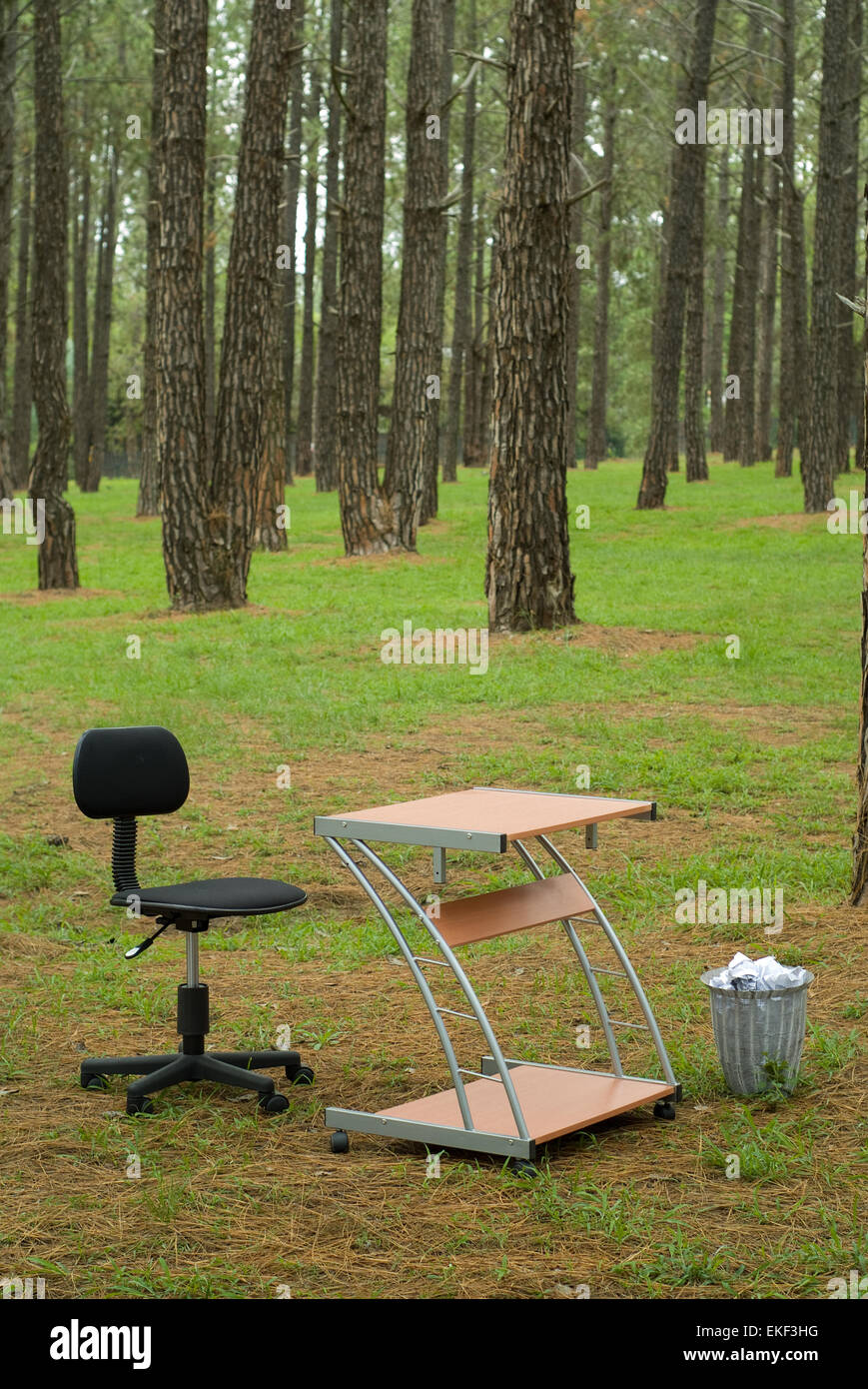 Office desk in forest Stock Photo - Alamy