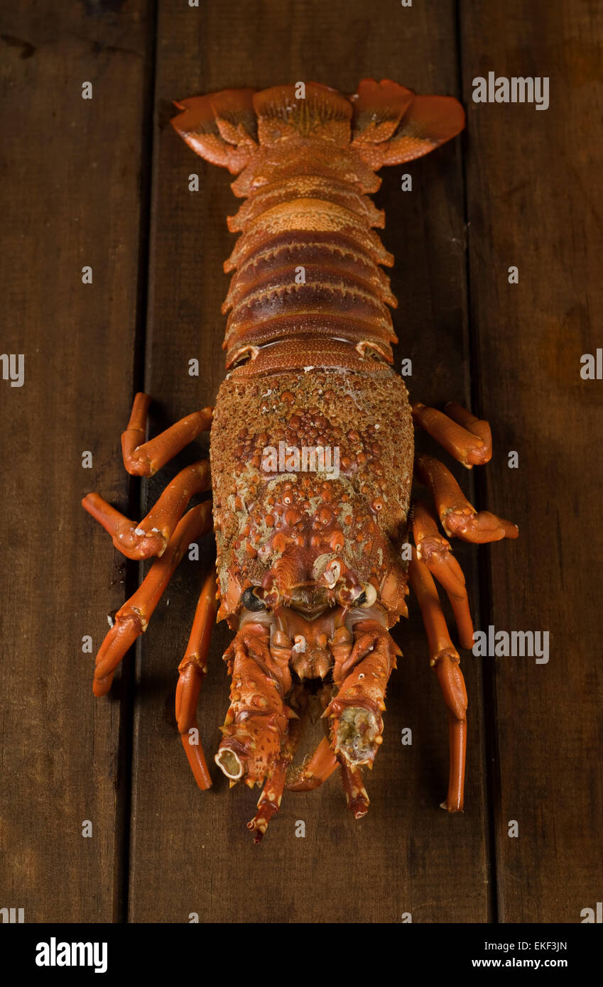 Crayfish on table Stock Photo - Alamy