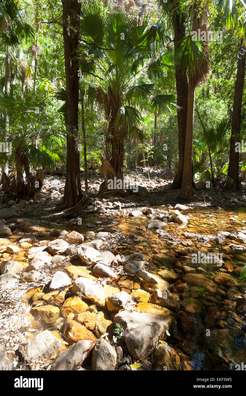 El Questro Gorge, El Questro Wilderness Park, Kimberley, Western ...