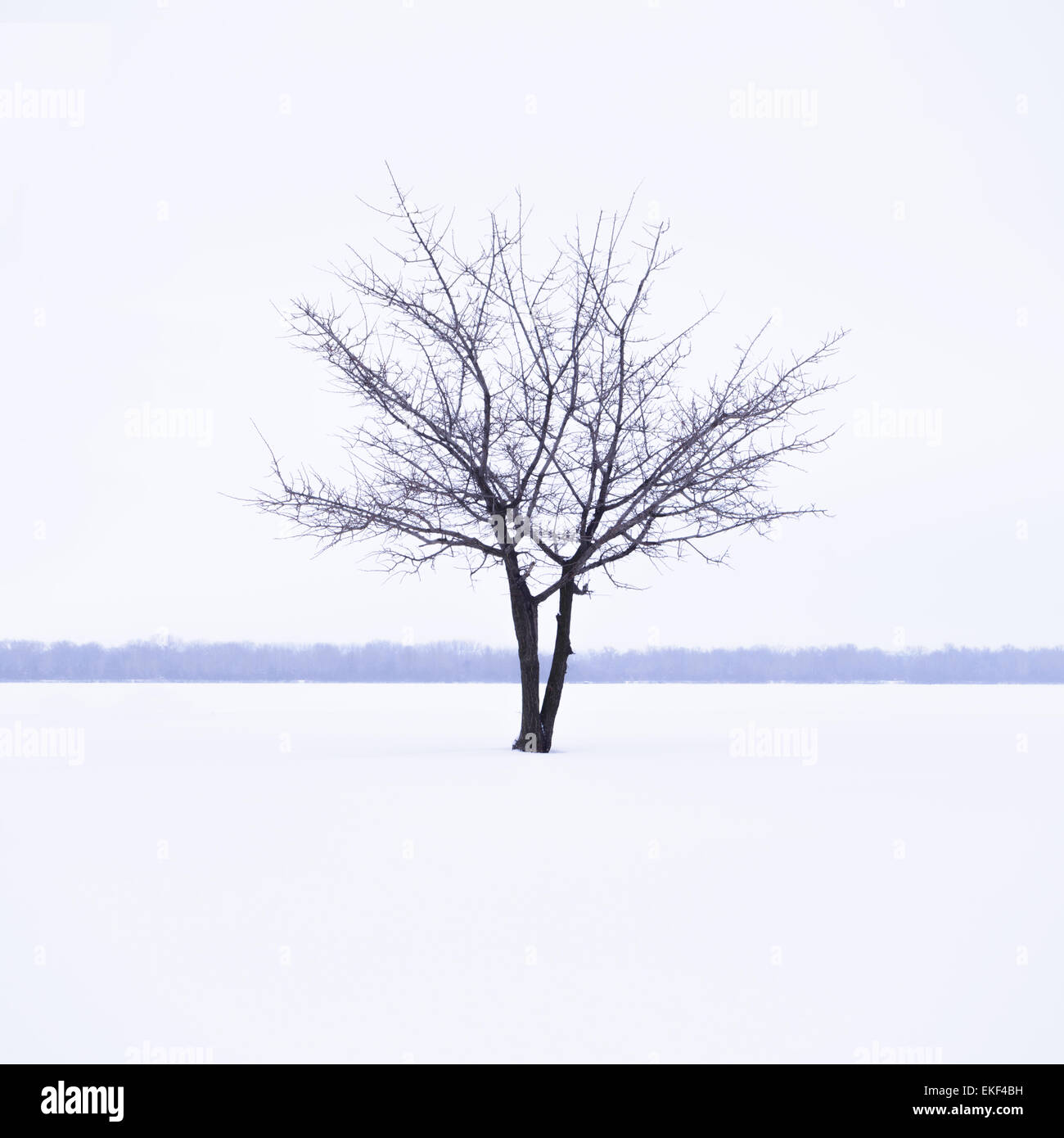 Simple tree landscape hi-res stock photography and images - Alamy