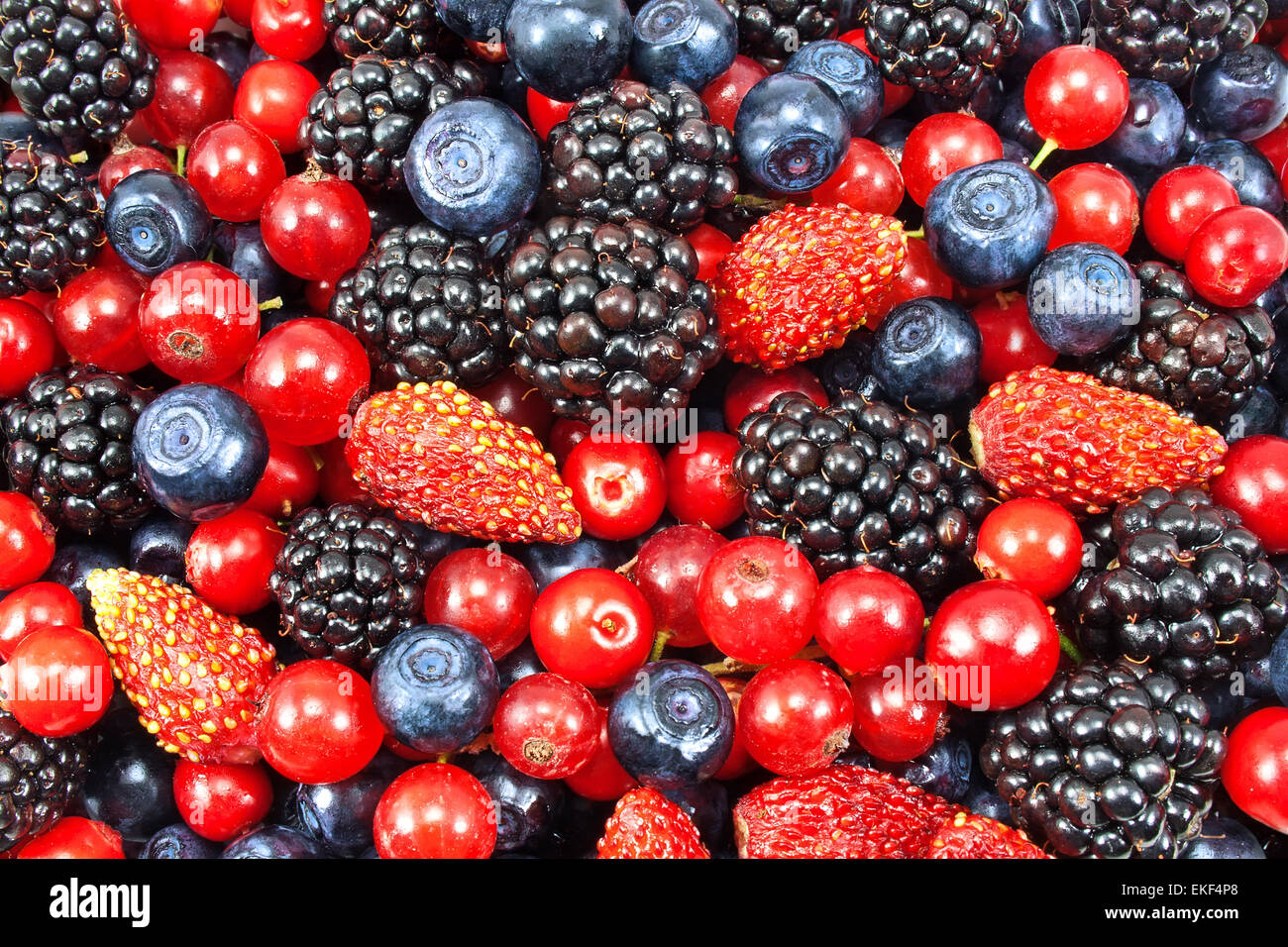 different fresh berries Stock Photo - Alamy different fresh berries Stock Photo - Alamy