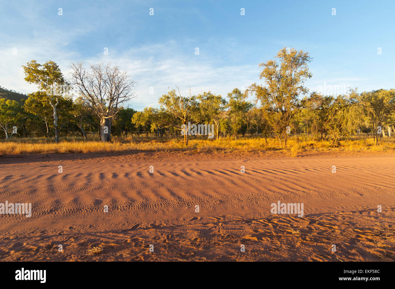 Corrugated road hi-res stock photography and images - Alamy