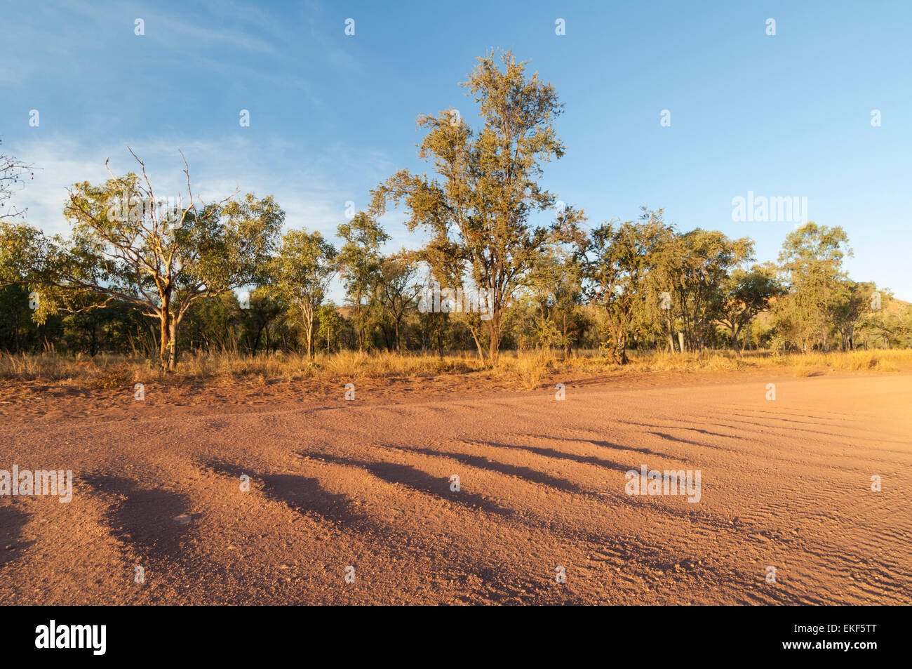 Corrugation on the Gibb River Road, Kimberley, Outback, Western ...