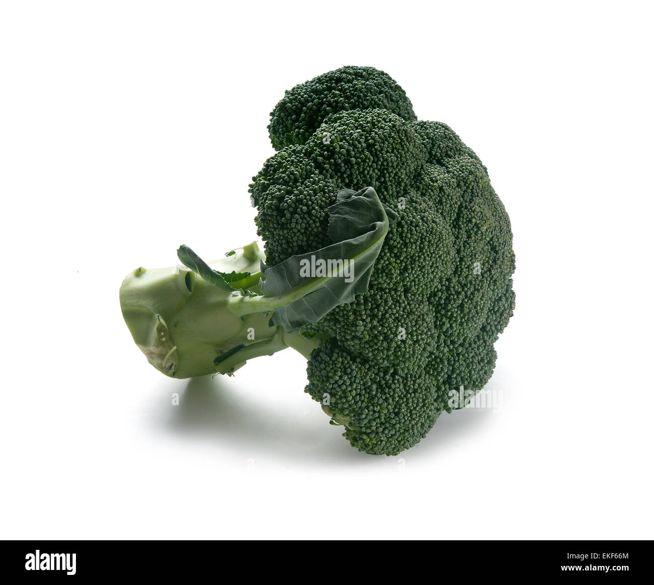 Inflorescence broccoli hi-res stock photography and images - Alamy