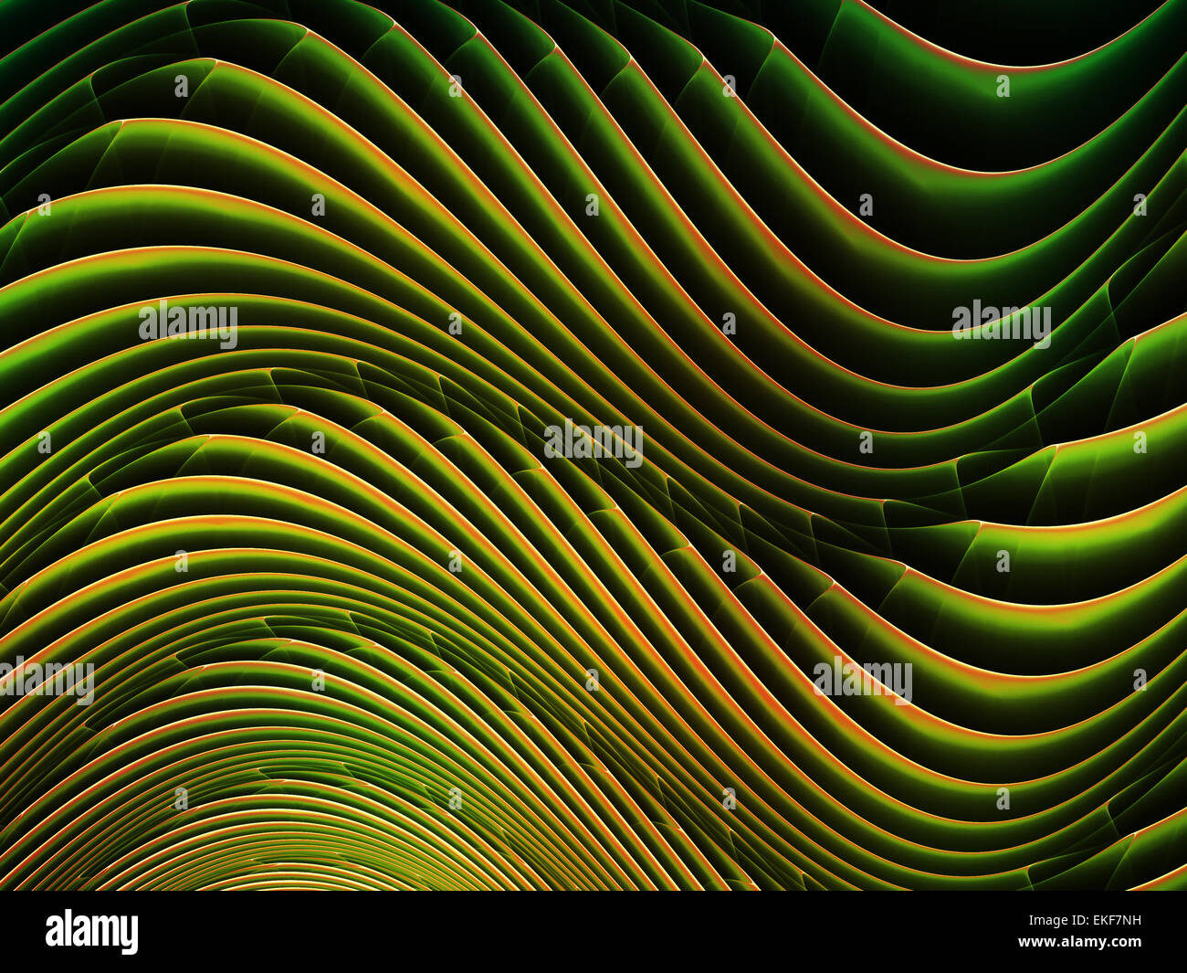 Skin ridge hi-res stock photography and images - Alamy
