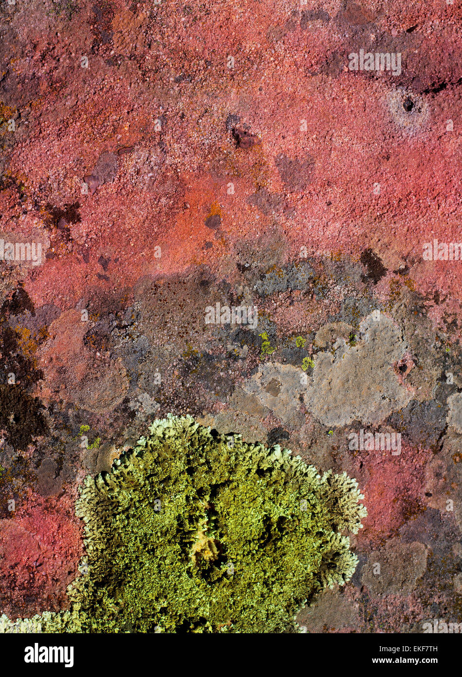 lichen green on red rock texture nature Stock Photo - Alamy