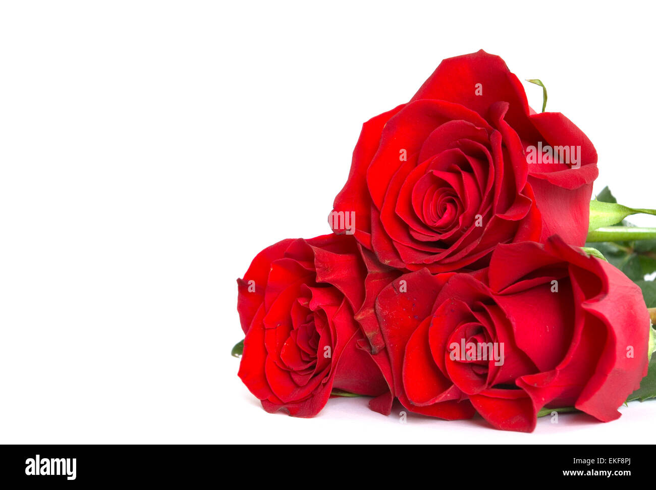 Close Up Shot Red Roses High Resolution Stock Photography and Images ...