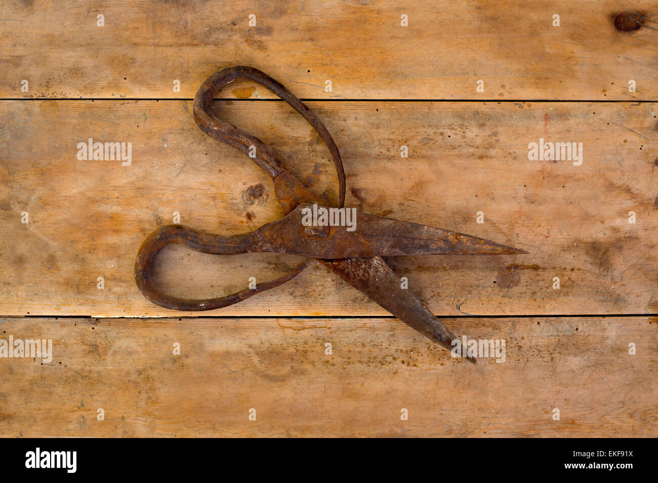 Antique sheep wool shears scissors rusted Stock Photo - Alamy