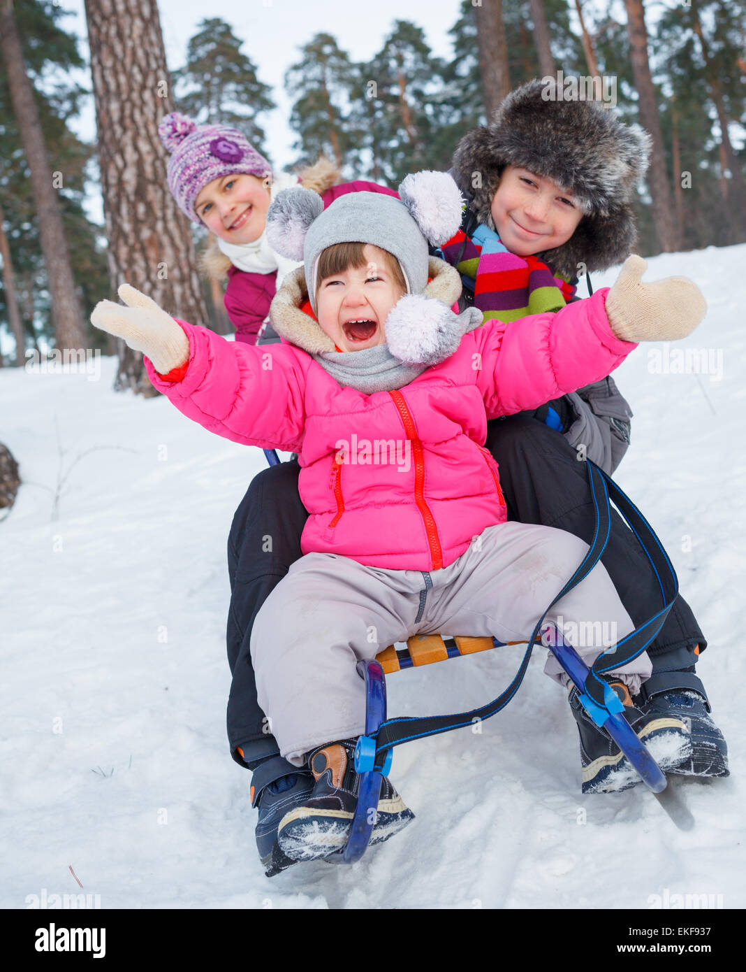 Children on sleds in snow Stock Photo - Alamy