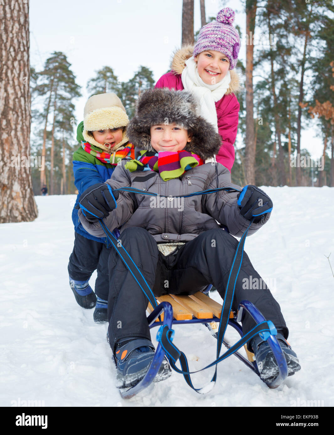 Children on sleds in snow Stock Photo - Alamy