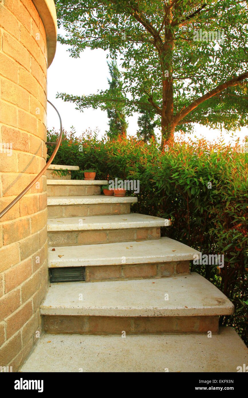 Staircase with flower and tree in garden Stock Photo - Alamy