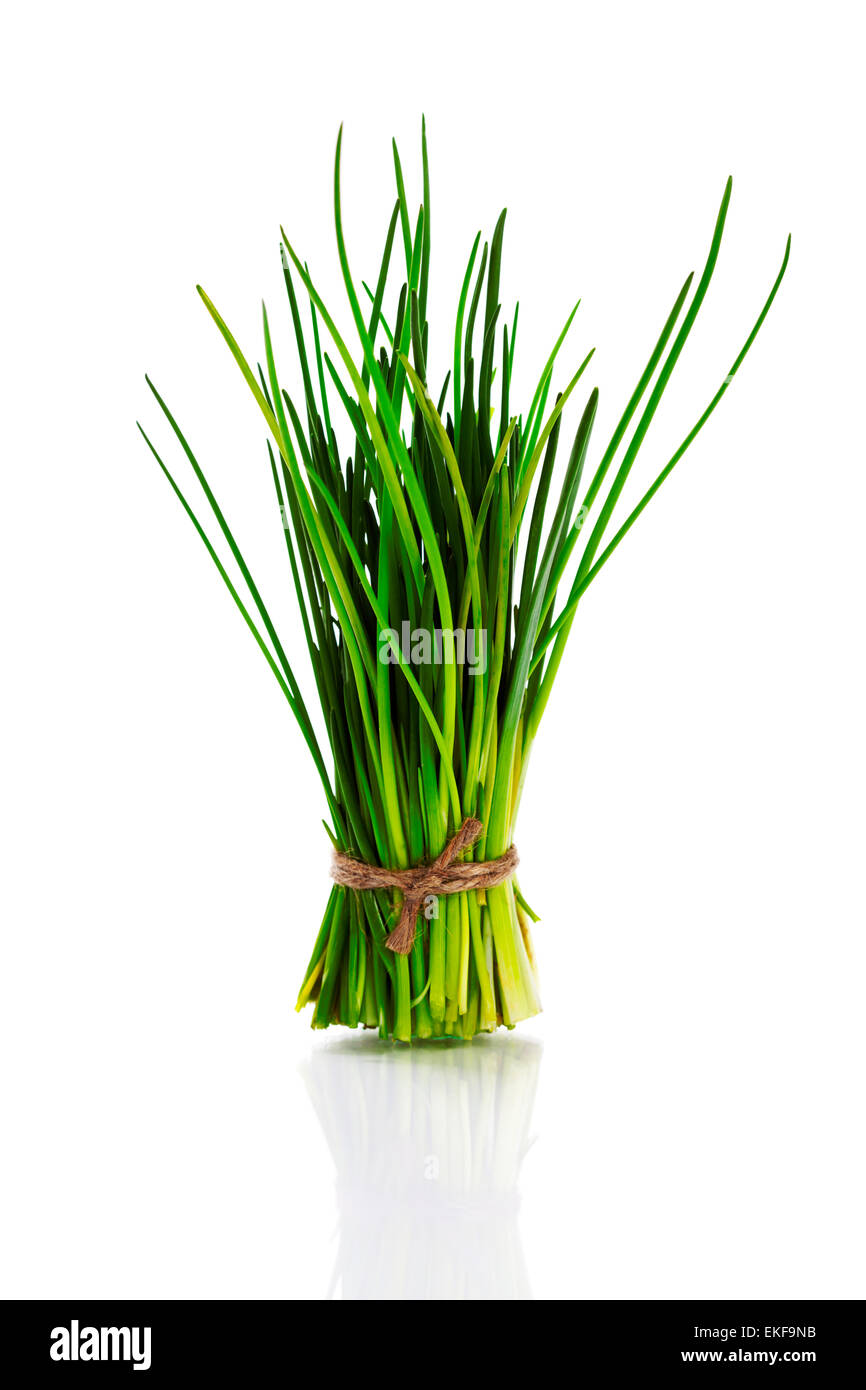 A bunch of fresh chives Stock Photo - Alamy