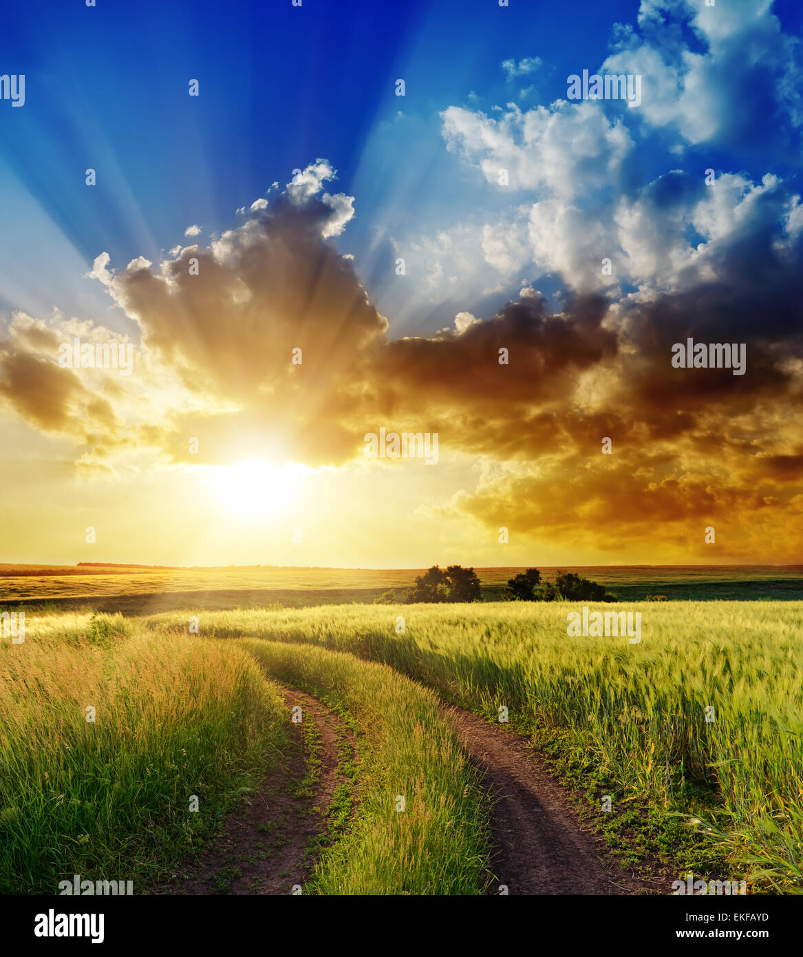 good sunset over rural road Stock Photo - Alamy