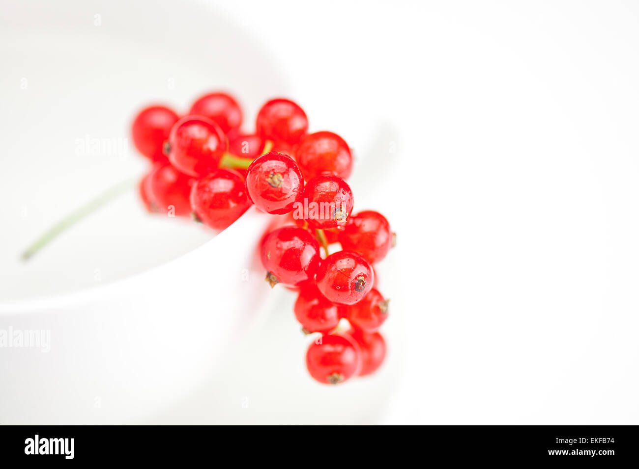 branch of red currants and a cup with a plate isolated on white Stock ...