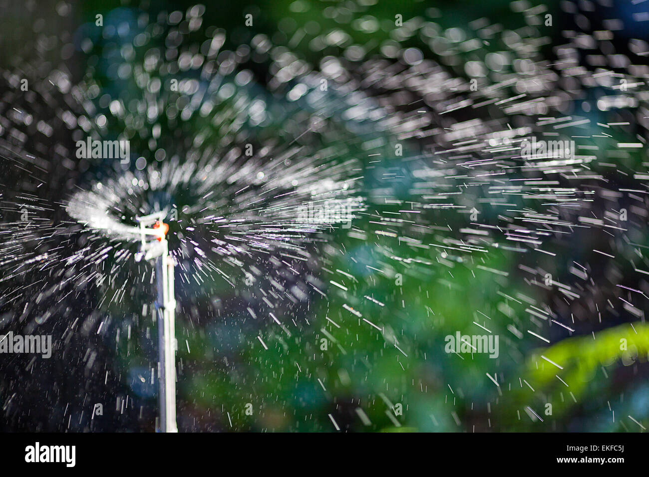 water spray in the sunshine Stock Photo - Alamy