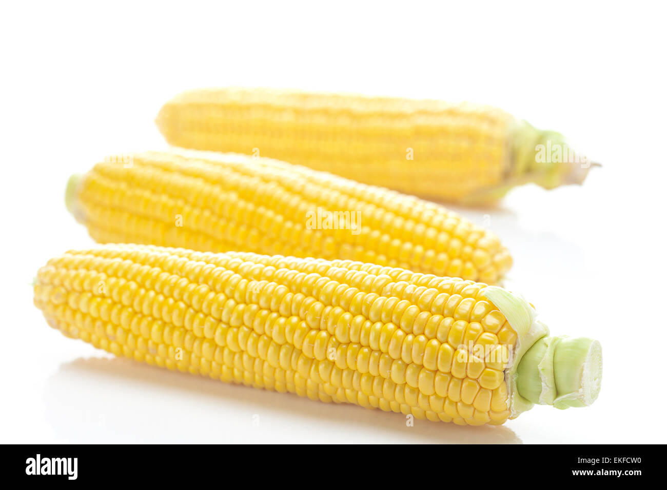 Ripe white corn cobs hi-res stock photography and images - Alamy