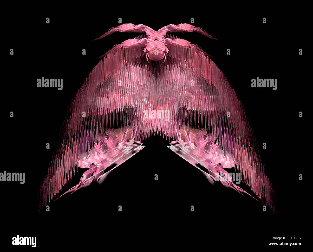 Geometric moth hi-res stock photography and images - Alamy