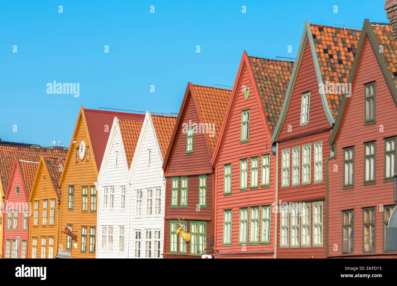 The colourful historic buildings of Bryggen in the City of Bergen ...