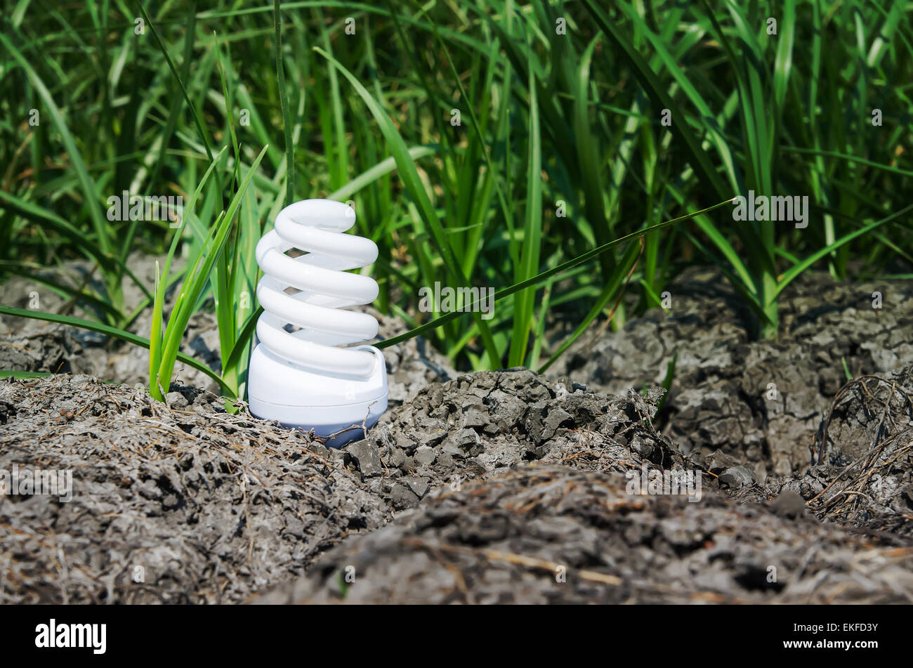 light bulb between drought land and green grass Stock Photo - Alamy