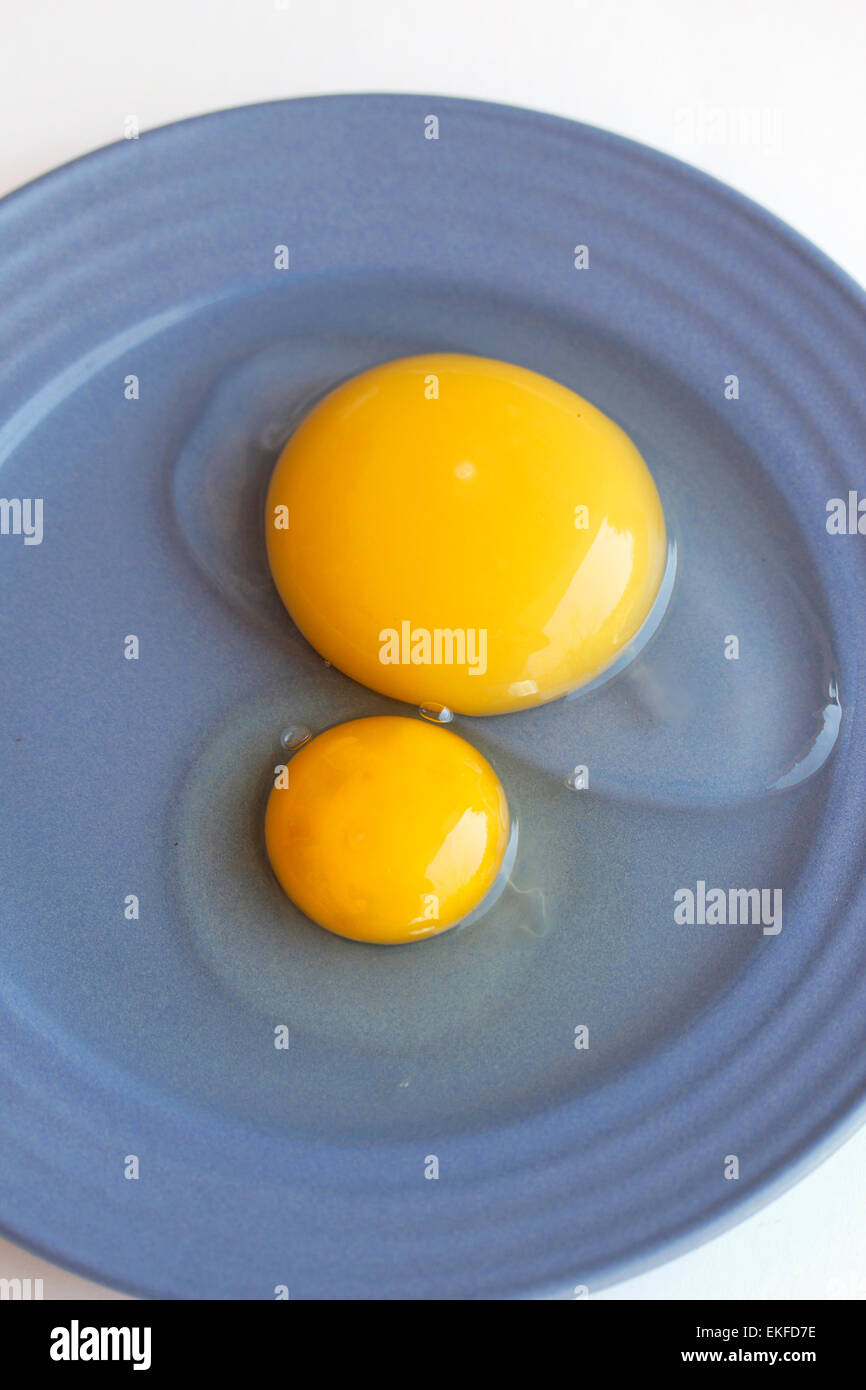 Eggs. Goose and hen Stock Photo - Alamy
